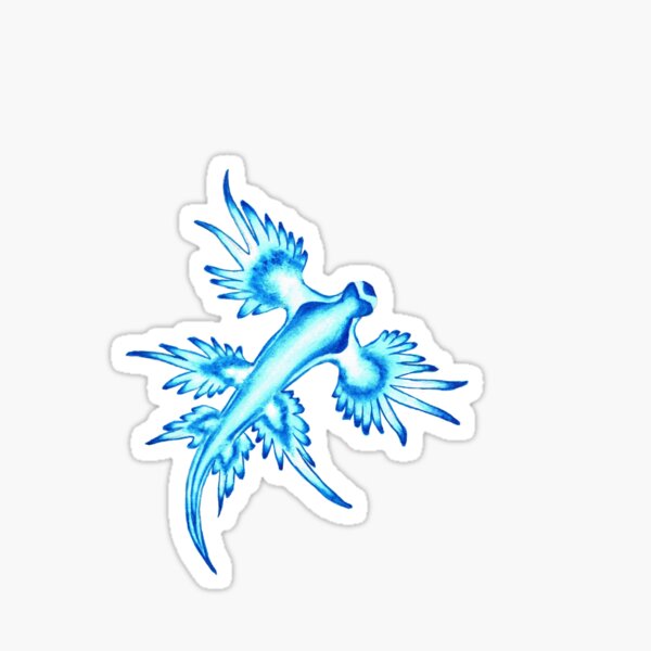 "Glaucus Atlanticus" Sticker for Sale by NyxieDesigns | Redbubble