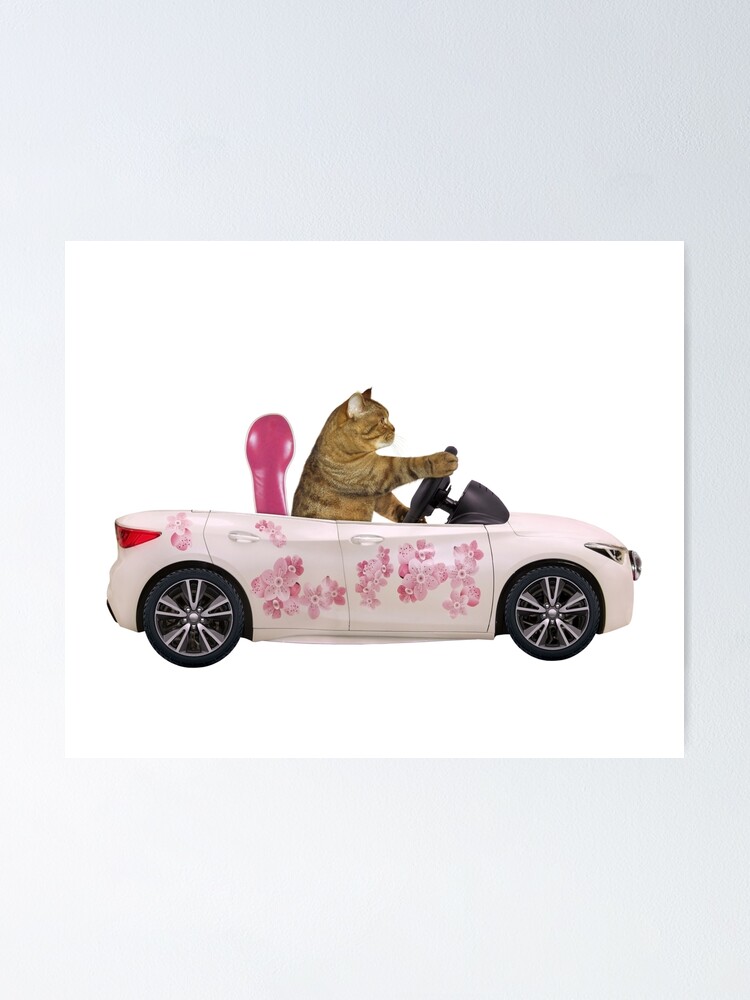 "Cat Driving A Car-funny cat" Poster for Sale by ColoringHouse | Redbubble
