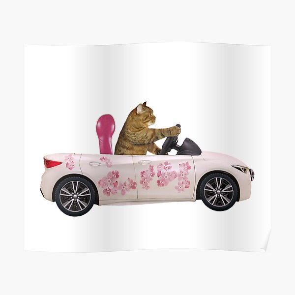 "Cat Driving A Car-funny cat" Poster for Sale by ColoringHouse | Redbubble