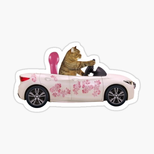 "Cat Driving A Car-funny cat" Sticker for Sale by ColoringHouse | Redbubble