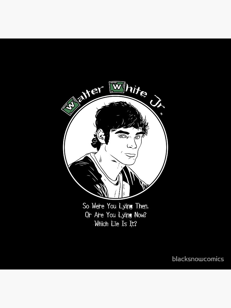 Walter White Jr Breaking Bad