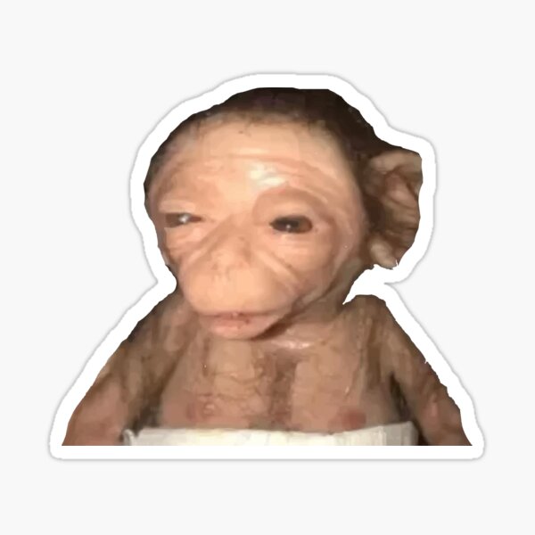 "BABY MONKEY MEME" Sticker by Kisameboy | Redbubble