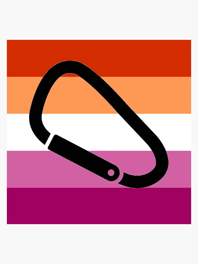 "Lesbian Flag Carabiner" Sticker for Sale by donaghys1 | Redbubble