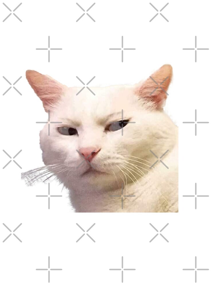 "Funny Cat look angry Meme Sticker Bundle meow kitten cat lady funny ...