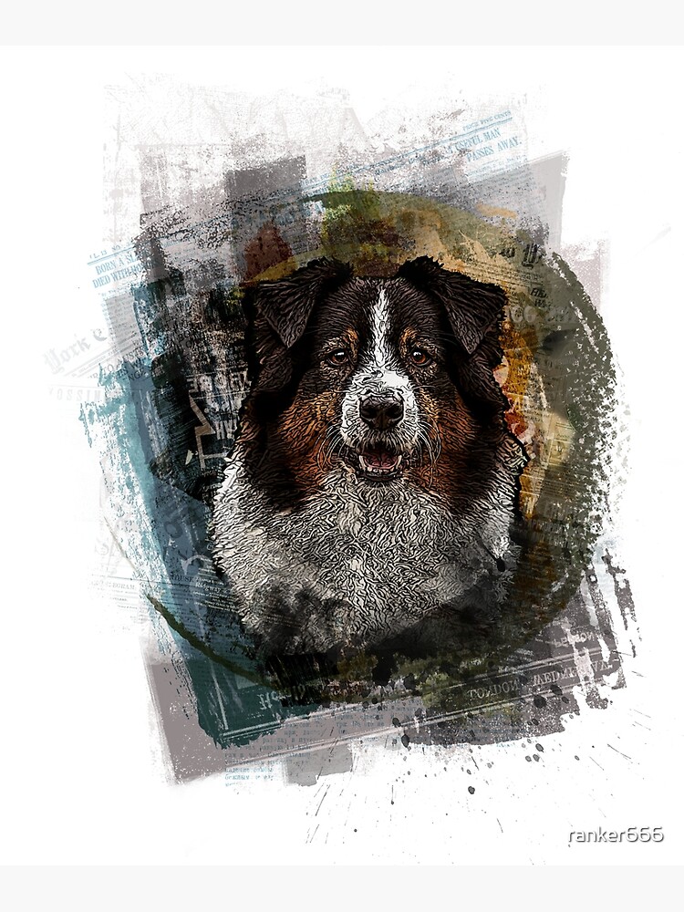 "Australian sheperd portrait " Art Print for Sale by ranker666 | Redbubble