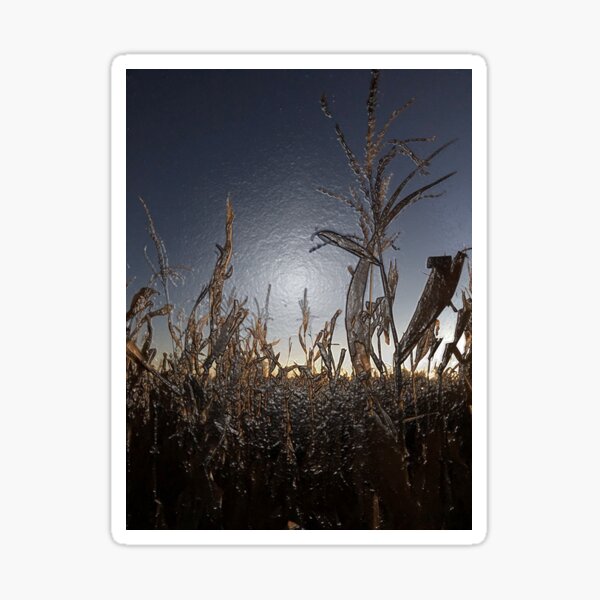 "Night in the Cornfield (texture)" Sticker by little-acorn | Redbubble