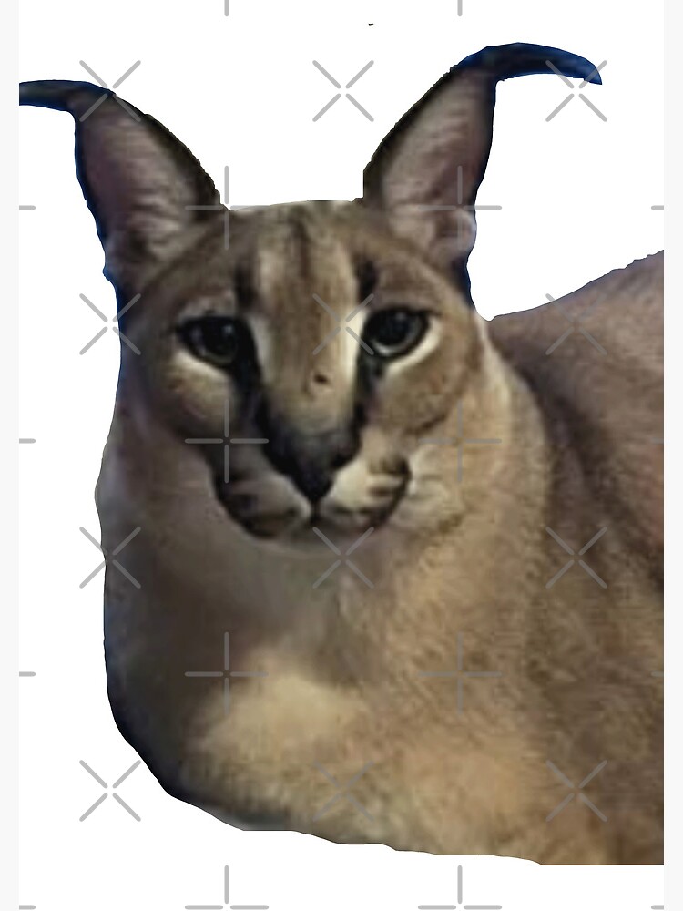 "Floppa cat meme" Spiral Notebook by Kawaii2cute | Redbubble