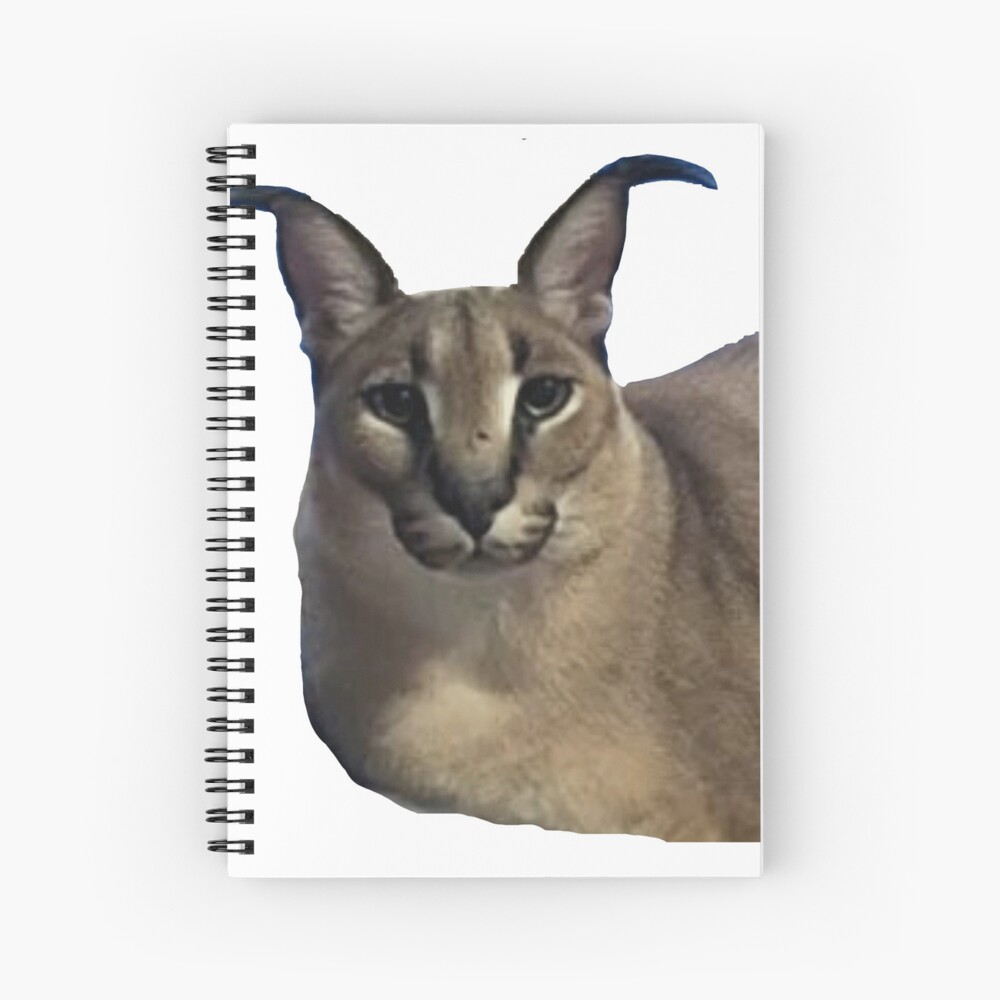 "Floppa cat meme" Spiral Notebook by Kawaii2cute | Redbubble