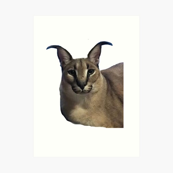 "Floppa cat meme" Art Print for Sale by Kawaii2cute | Redbubble