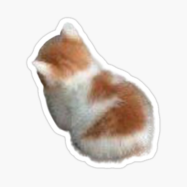 "angry cat meme" Sticker by DaniSaurio | Redbubble