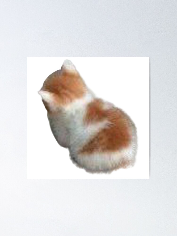 "angry cat meme" Poster for Sale by DaniSaurio | Redbubble