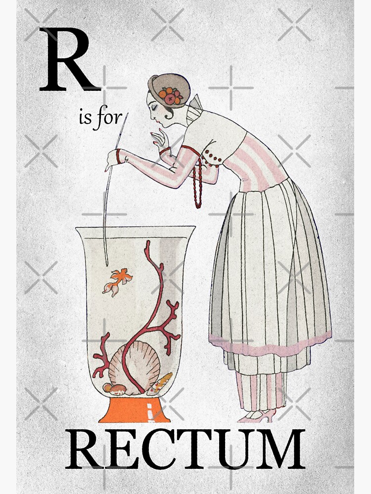 "R is for Rectum" Sticker for Sale by EMidgley | Redbubble