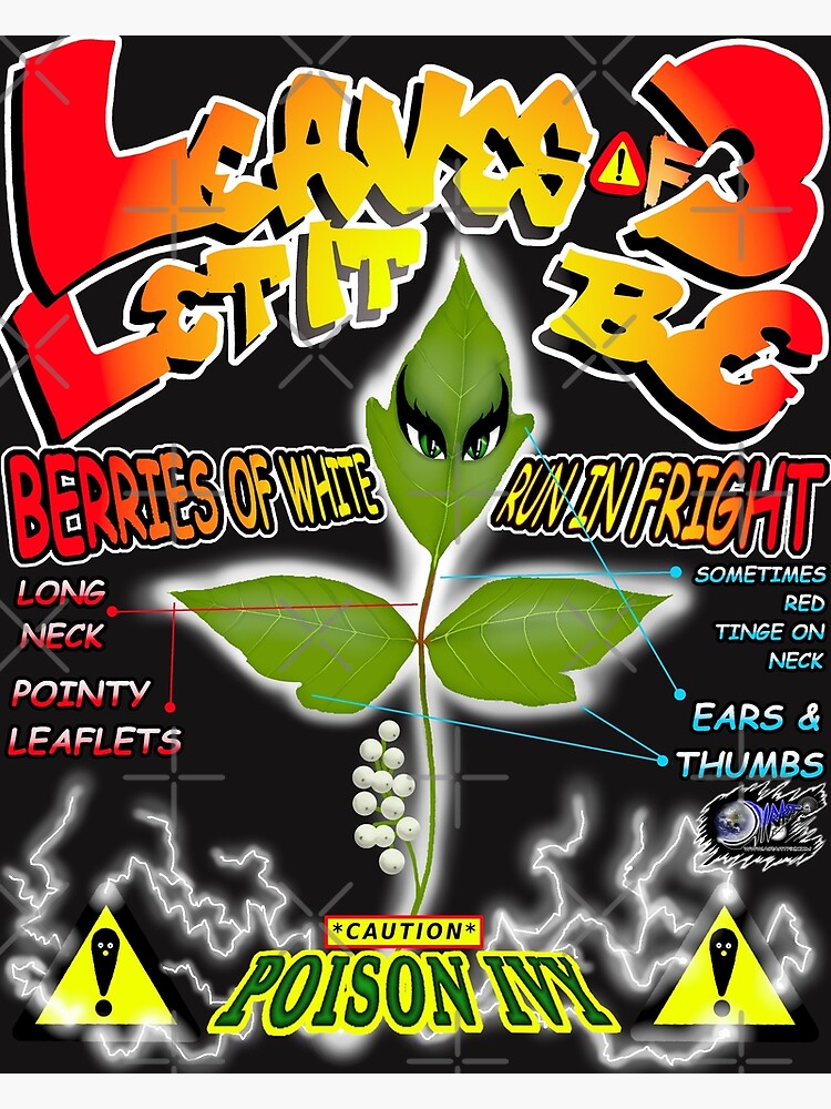 "LEAVES OF 3 LET IT BE, BERRIES OF WHITE RUN IN FRIGHT scout camp trees ...