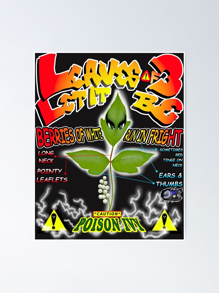 "LEAVES OF 3 LET IT BE, BERRIES OF WHITE RUN IN FRIGHT scout camp trees ...