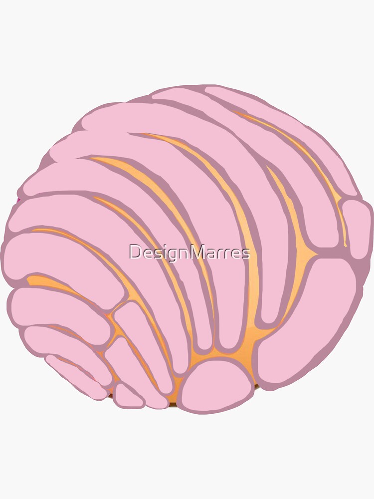 "Concha Drawing" Sticker by DesignMarres | Redbubble