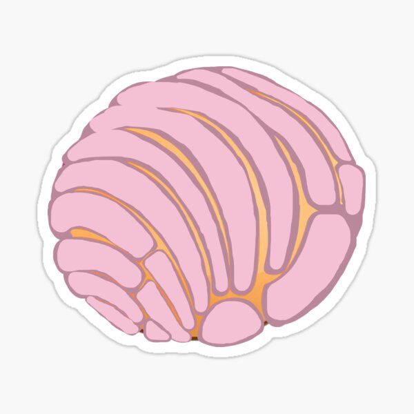 "Concha Drawing" Sticker by DesignMarres | Redbubble