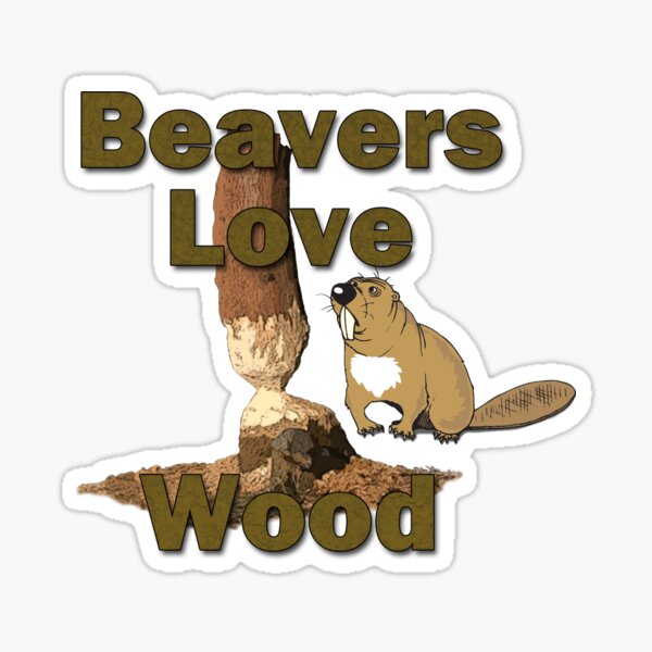 "Beavers Love Wood" Sticker for Sale by robsbushcraft | Redbubble