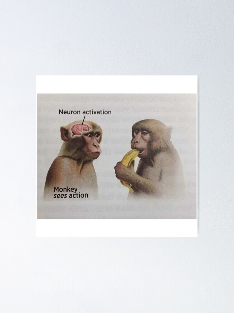 "Monkey sees action" Poster for Sale by MattFelix | Redbubble