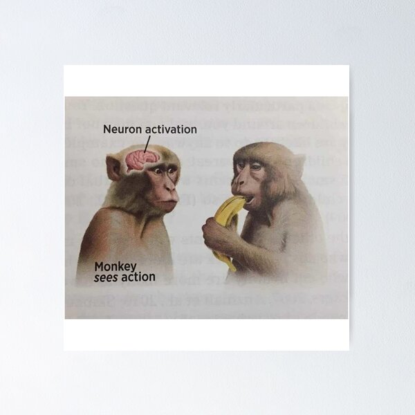 "Monkey sees action" Poster for Sale by MattFelix | Redbubble