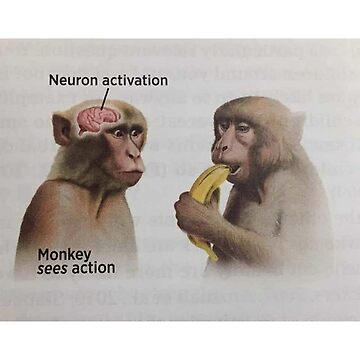 "Monkey sees action" Poster for Sale by MattFelix | Redbubble