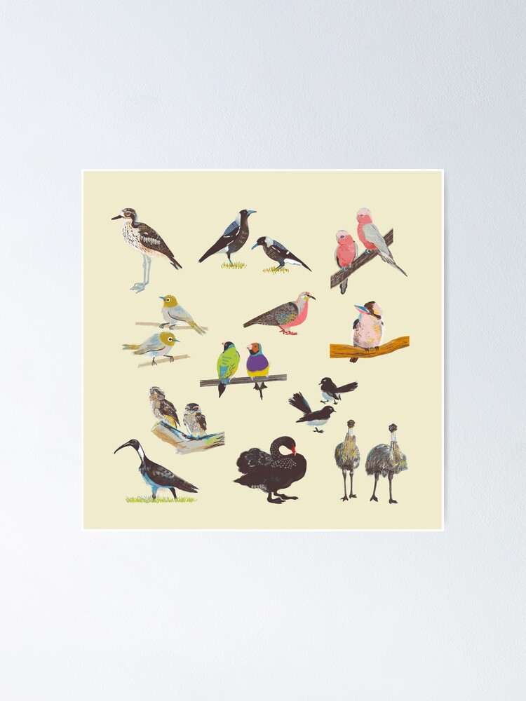 "Birds of Australia - design of Aussie birds in a group" Poster by ...