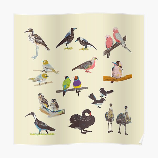 "Birds of Australia - design of Aussie birds in a group" Poster by ...