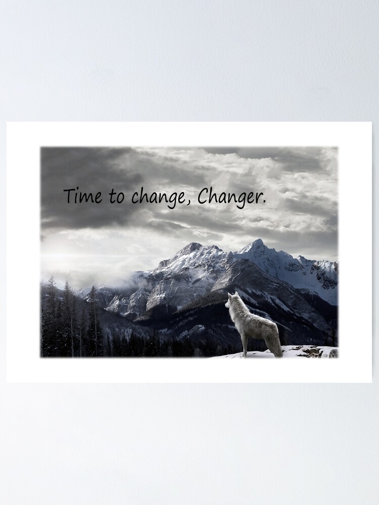 "Changer" Poster for Sale by NasrinThorn | Redbubble