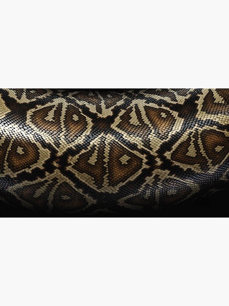 "Mesmerizing Snake Skin" Sticker for Sale by Stason4ek | Redbubble