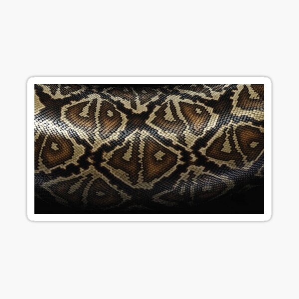 "Mesmerizing Snake Skin" Sticker for Sale by Stason4ek | Redbubble
