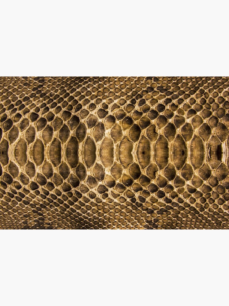 "Mesmerizing Snake Skin" Sticker for Sale by Stason4ek | Redbubble
