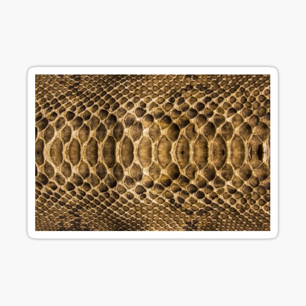 "Mesmerizing Snake Skin" Sticker for Sale by Stason4ek | Redbubble