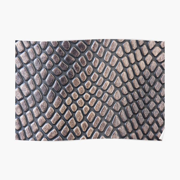 "Mesmerizing Snake Skin" Poster for Sale by Stason4ek | Redbubble