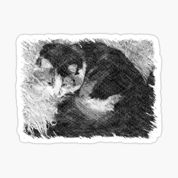 "Lonely Cat Pencil Sketch " Sticker for Sale by LarkDesigns | Redbubble