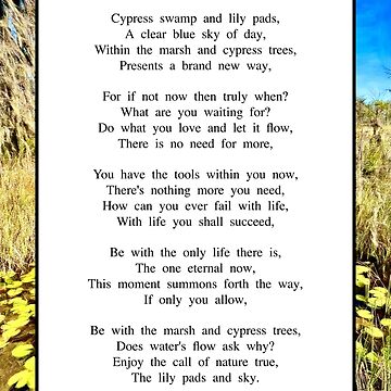 "Cypress Swamp and Lily Pads Poem" Journal for Sale by Pamela Storch ...