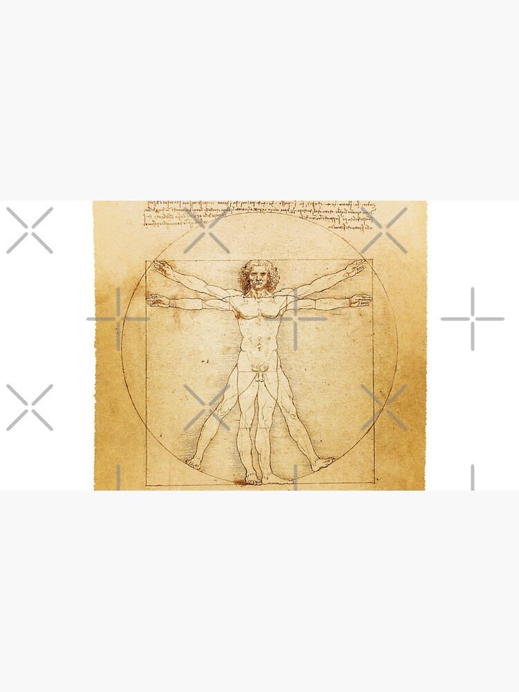 "Leonardo da Vinci Vintage sketch The Vitruvian Man The proportions of ...