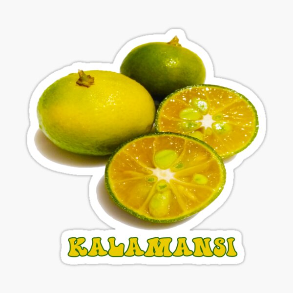 "kalamansi fruit" Sticker for Sale by adbenturtym04 | Redbubble