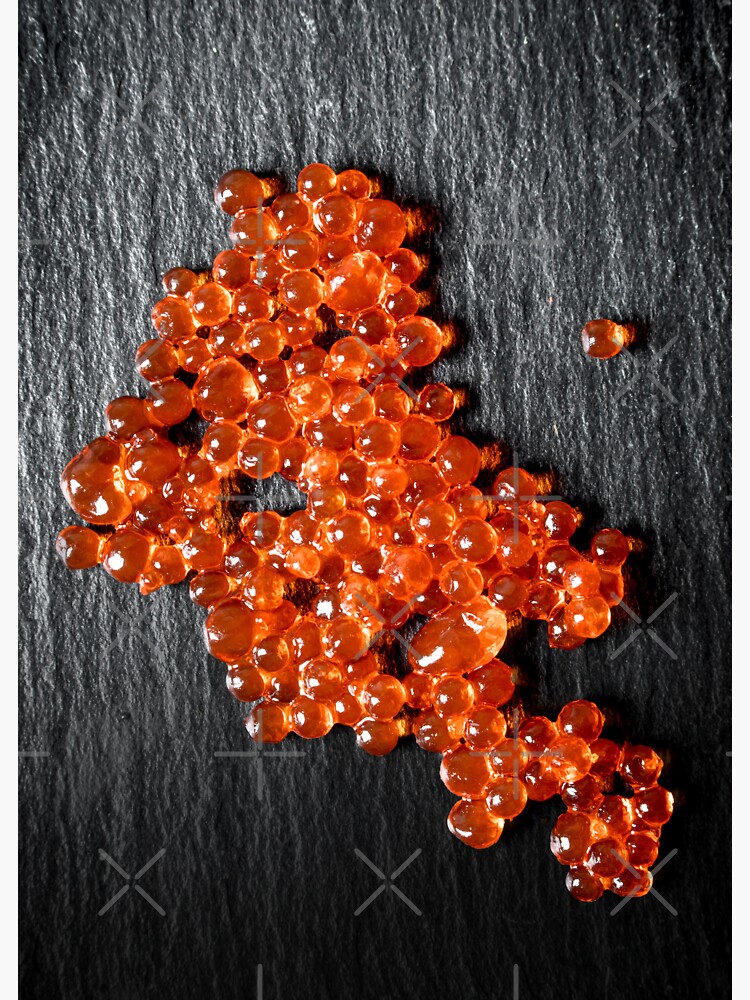 "Red caviar — Food kitchen poster/blackboard, photo art" Sticker for ...
