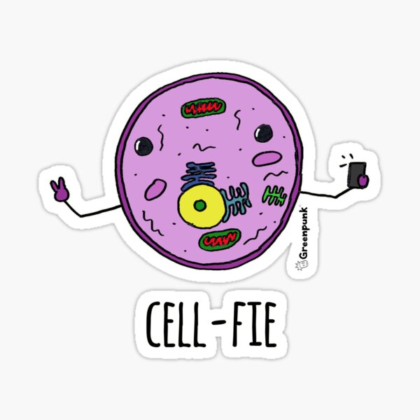 "Cell-fie" Sticker for Sale by greenpunkart | Redbubble