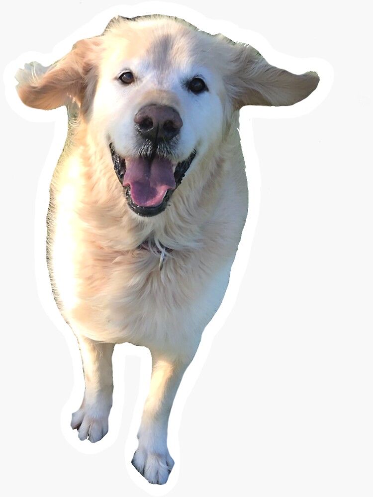 "Happy dog sticker " Sticker by Ellieal | Redbubble