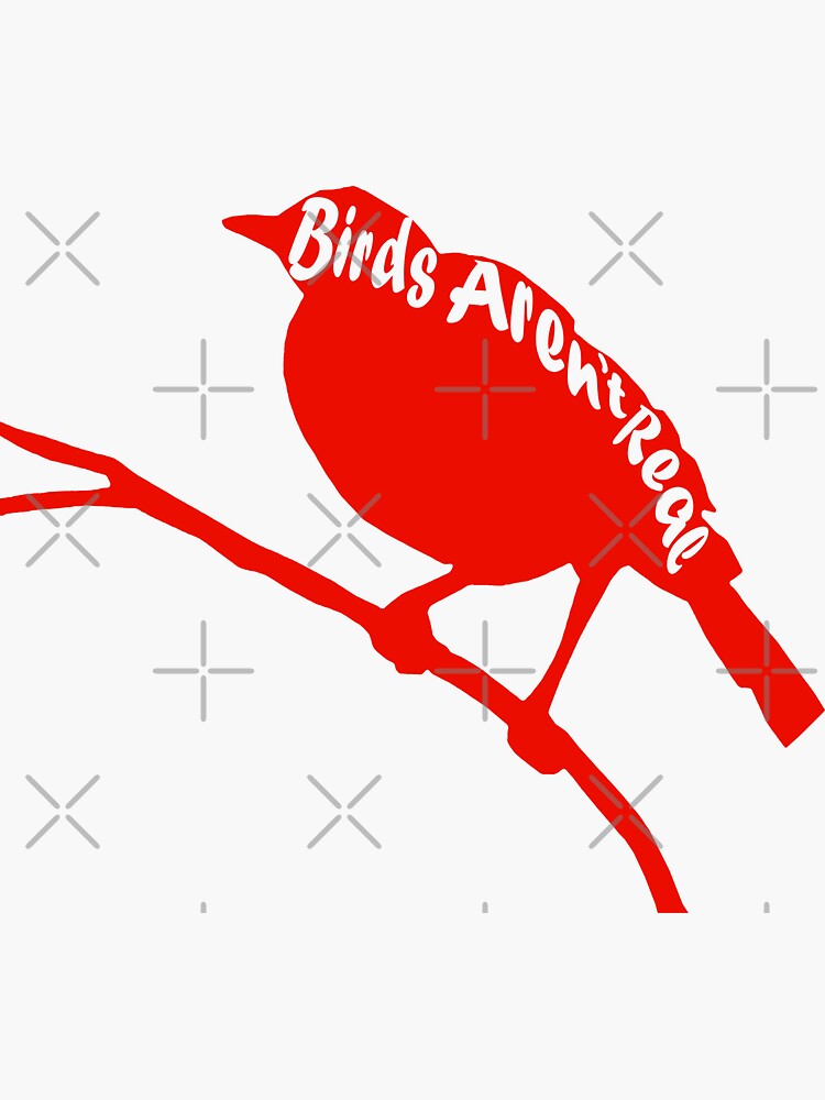 "Birds Aren't Real" Sticker for Sale by Adidit | Redbubble