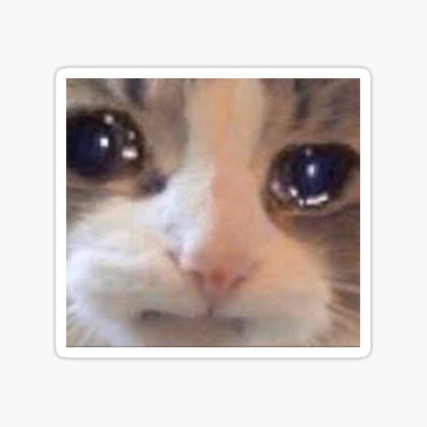 "cute cat crying" Sticker for Sale by king-kel | Redbubble