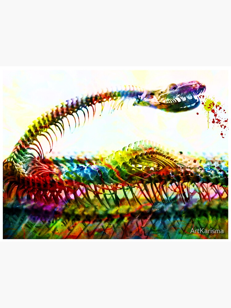 "Snake Skeleton, Watercolour, Snake painting, Python, Anatomy" Sticker ...