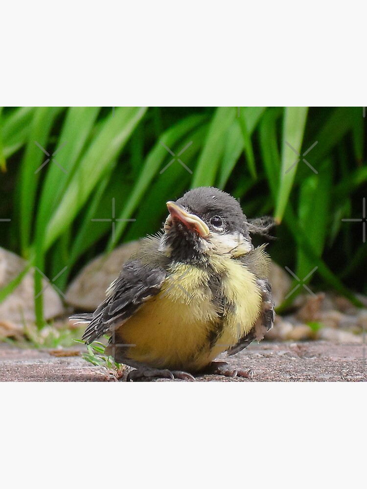 "Low res bird" Sticker by TravelingITGuy | Redbubble
