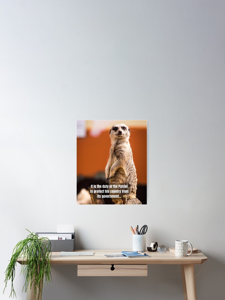 "funny picture of a meerkat with a funny quote to match" Poster for ...