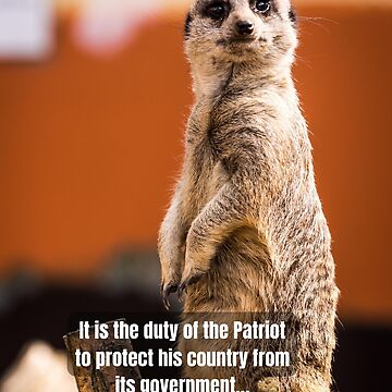 "funny picture of a meerkat with a funny quote to match" Poster for ...