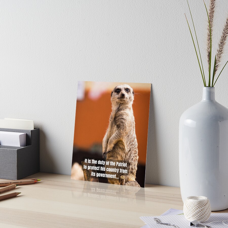 "funny picture of a meerkat with a funny quote to match" Poster for ...