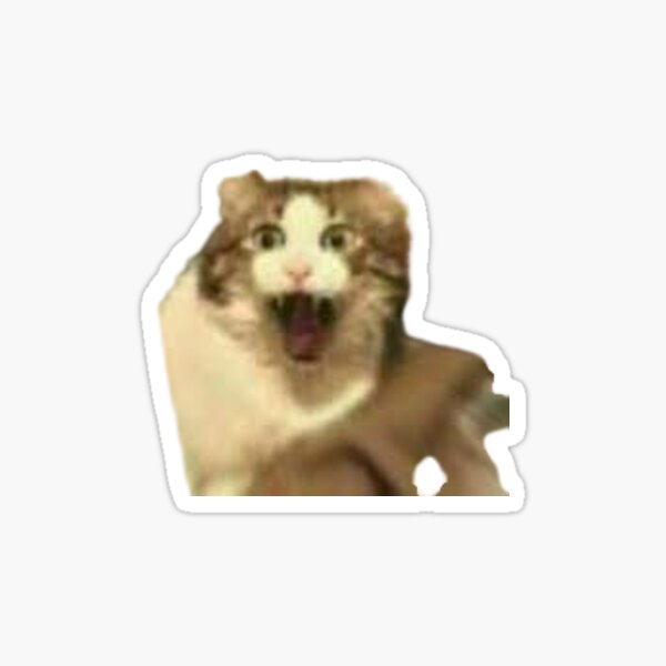 "angry cat" Sticker for Sale by king-kel | Redbubble