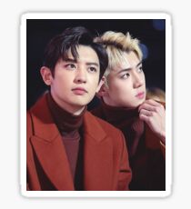 Chanyeol Stickers | Redbubble