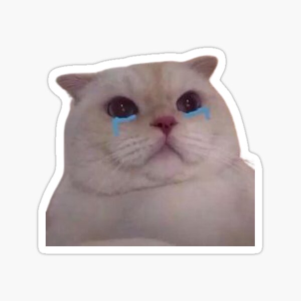 "cute crying cat" Sticker by king-kel | Redbubble