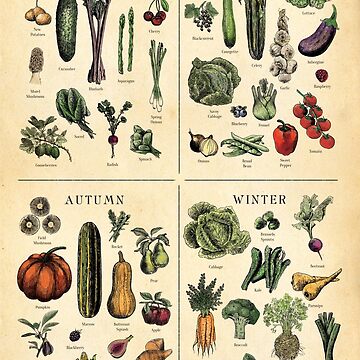 Poster for Sale avec l'œuvre « Tableau des fruits et légumes de saison ...